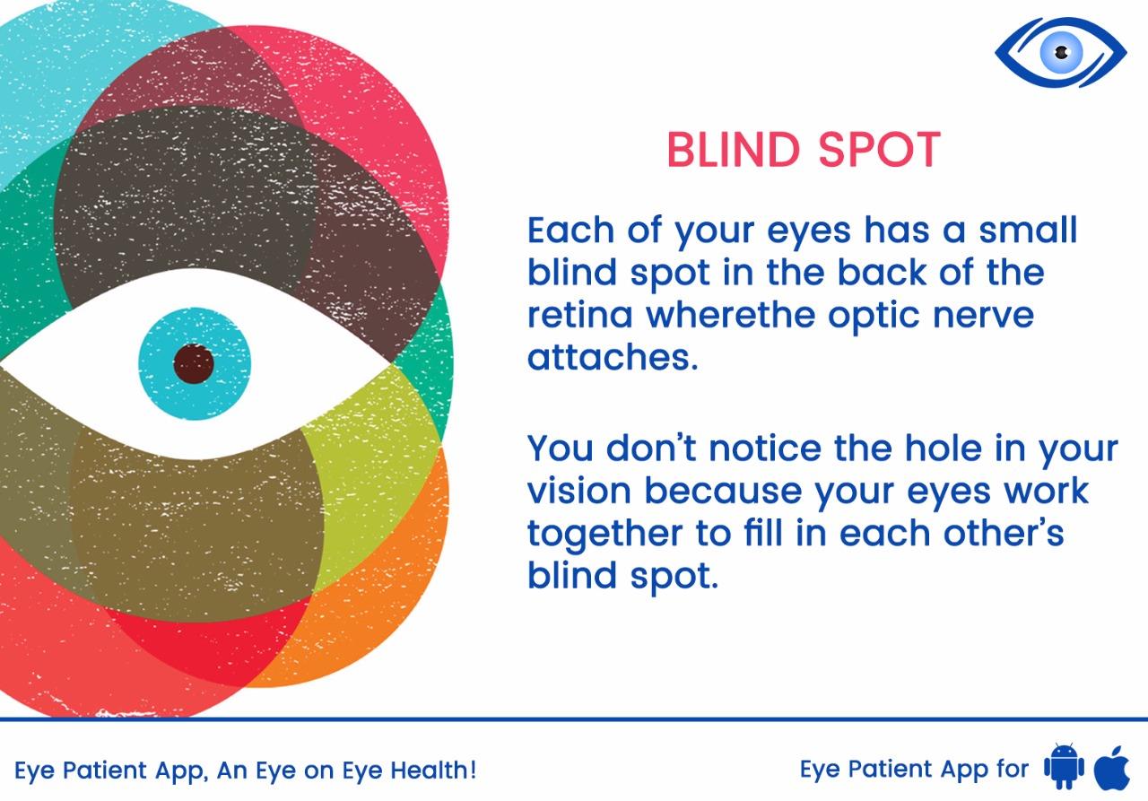 What Is Blind Spot Eye Patient What Is Blind Spot Eye Patient